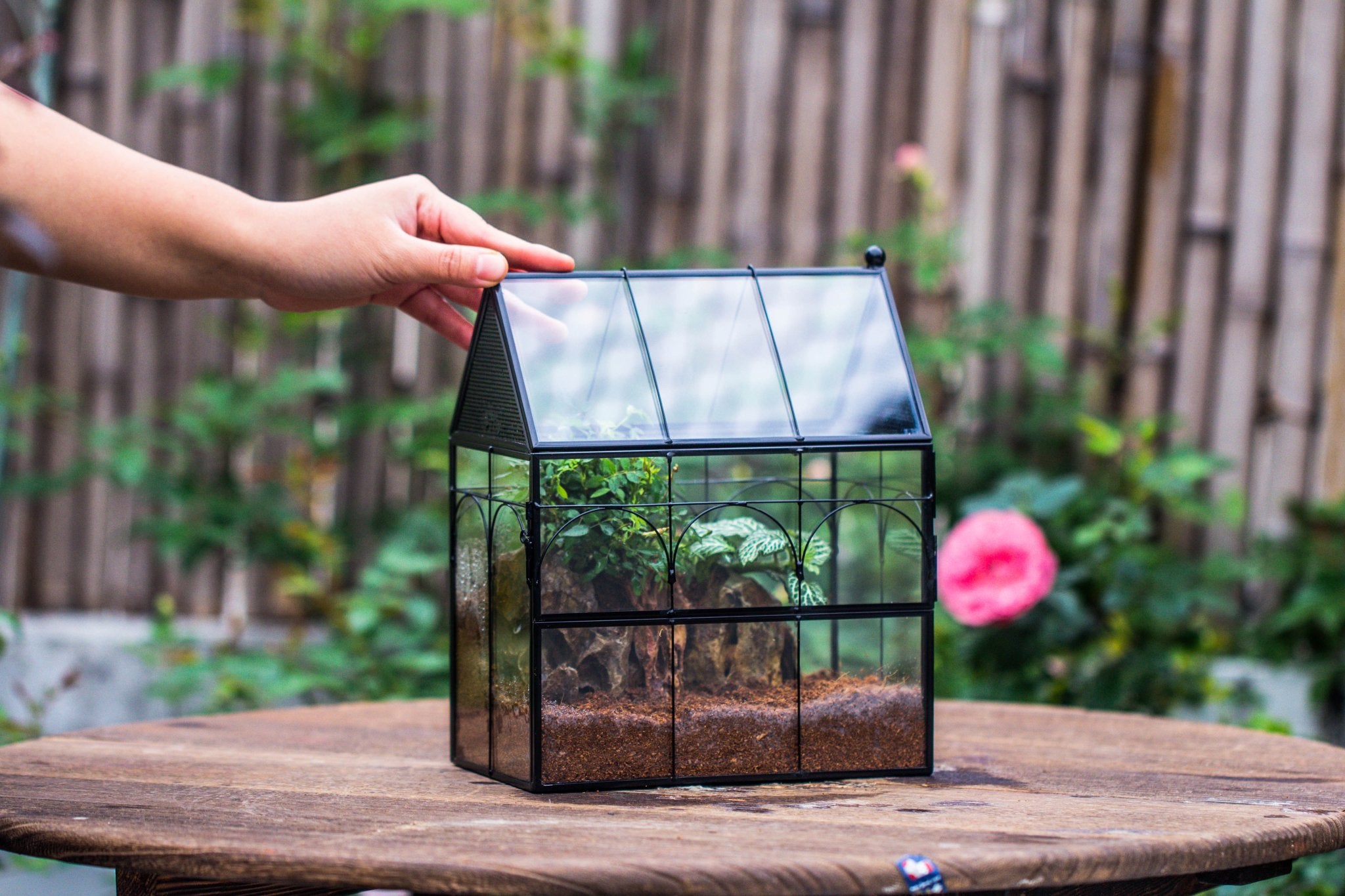 NCYP Vintage House Shape Tin and Glass Geometric Terrarium, with side ...