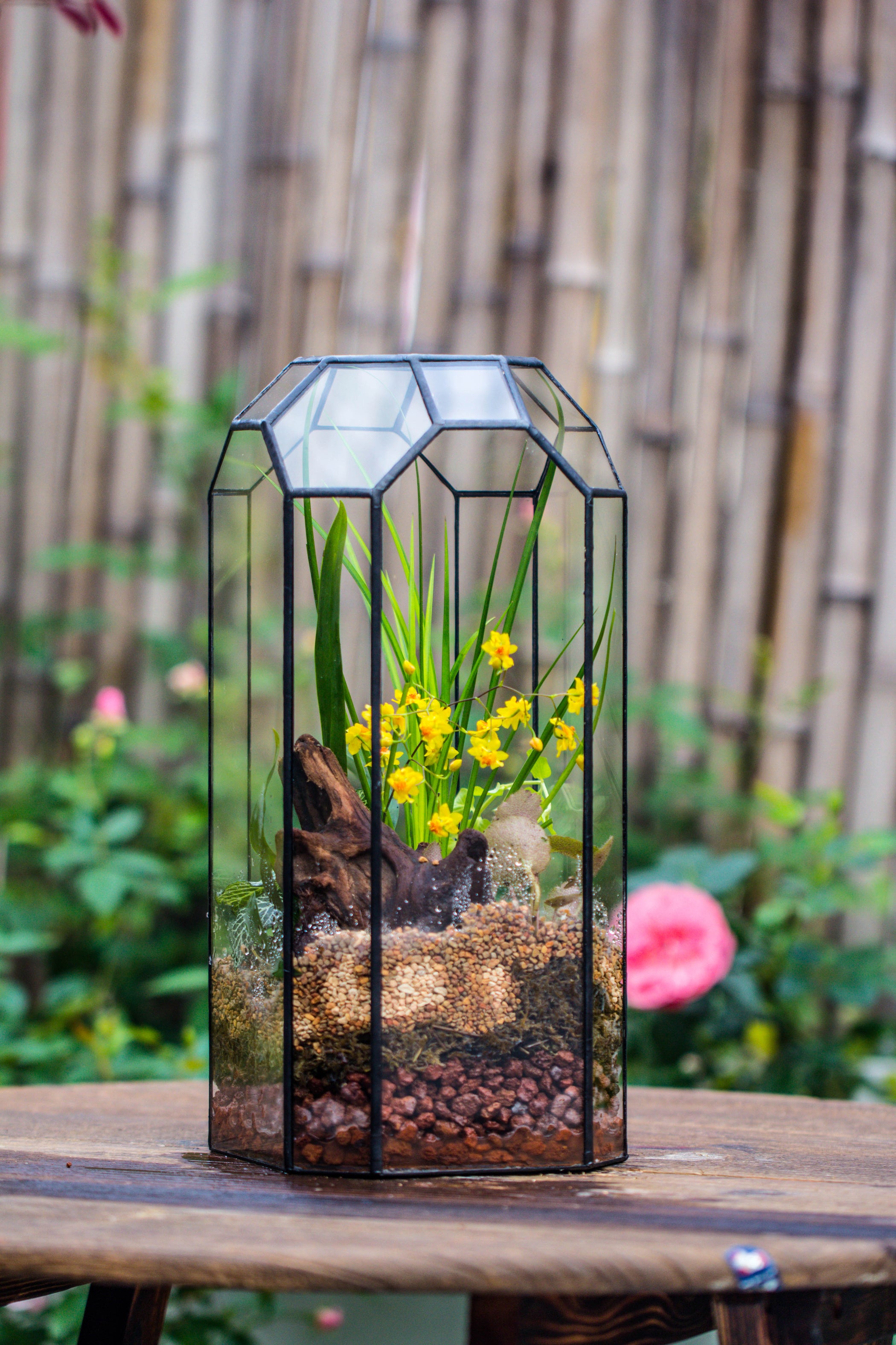 Vintage Tall Octagon Geometric Tin Glass Terrarium , 12.6" , open, sui ...