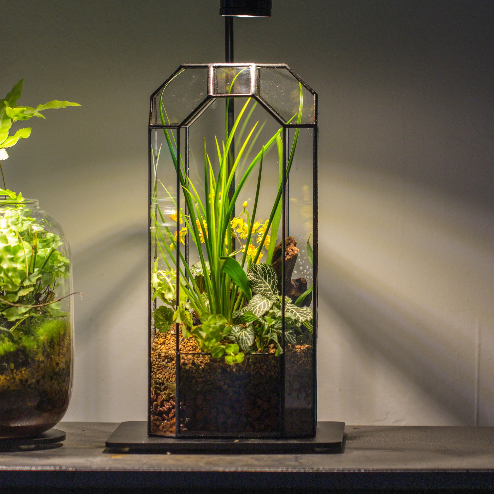 Customizable Warm White LED Grow Light with Matte Stand | NCYP Garden ...