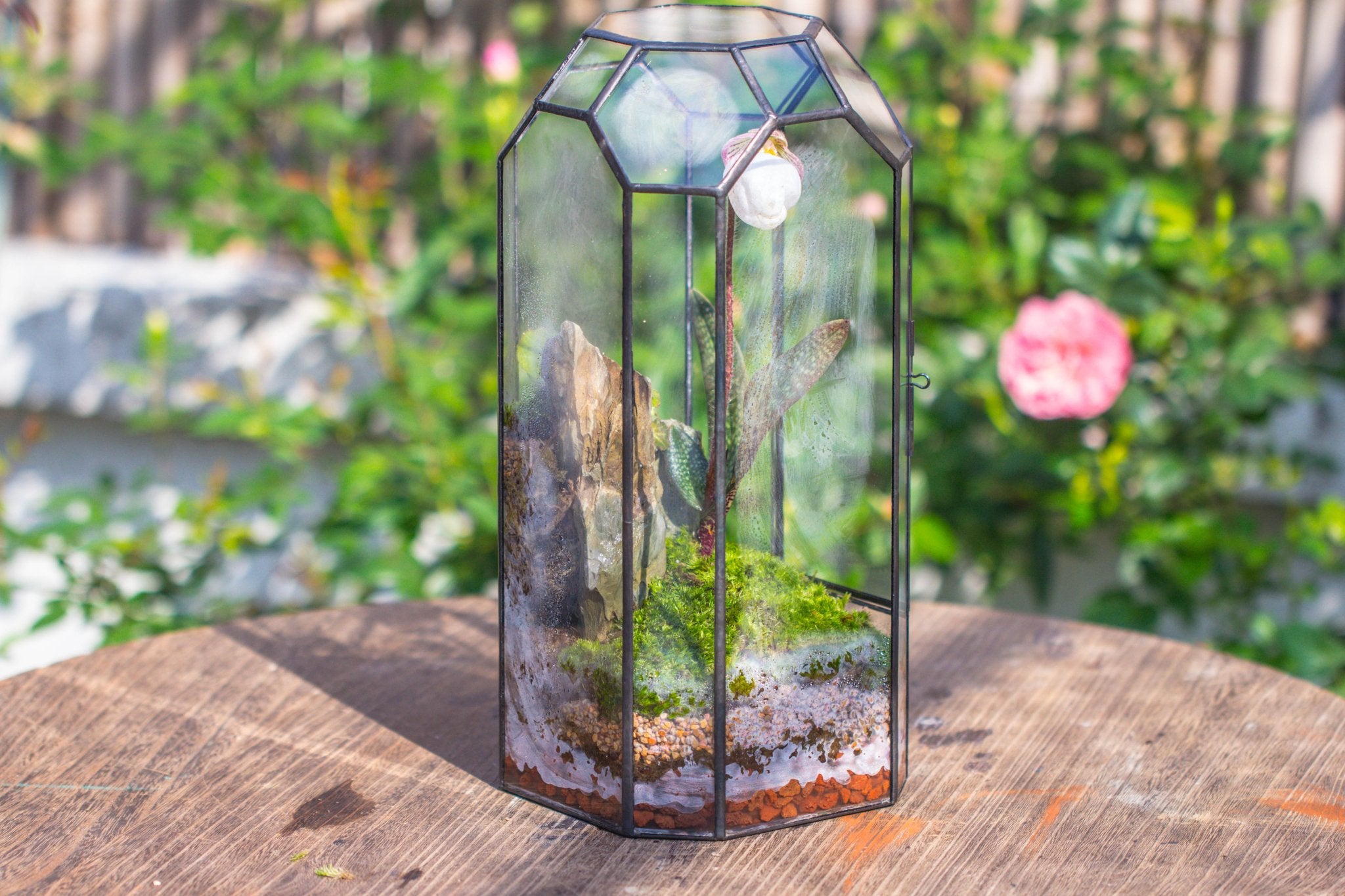 Vintage Tall Octagon Geometric Tin Glass Terrarium , 12.6" , close, su ...
