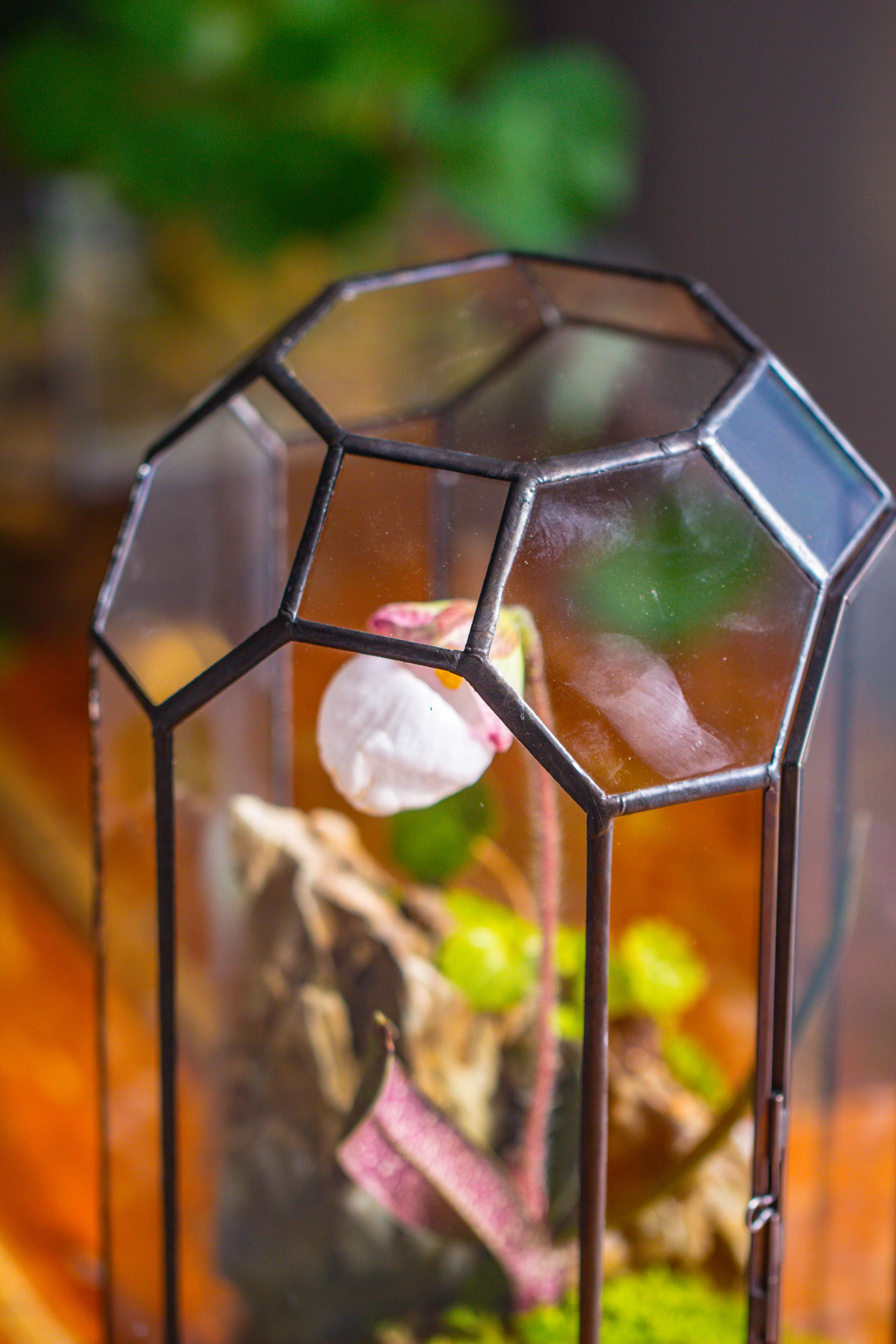 Vintage Tall Octagon Geometric Tin Glass Terrarium , 12.6" , close, su ...