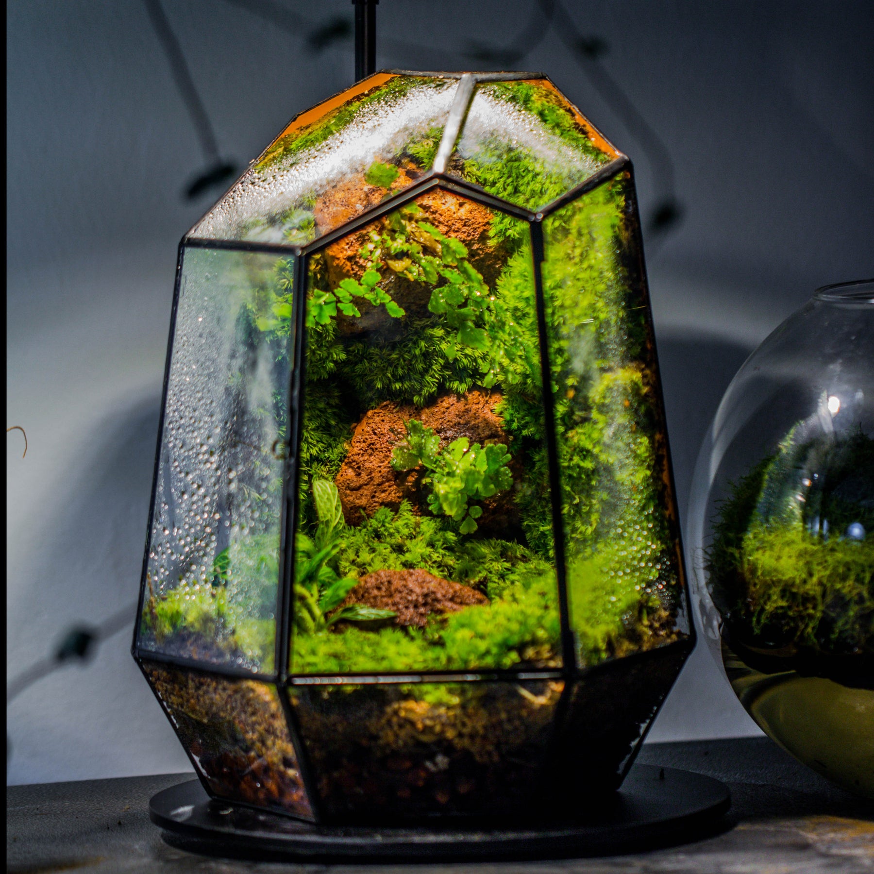 NCYP handmade geometric terrarium, float frame, centerpiece urns ...