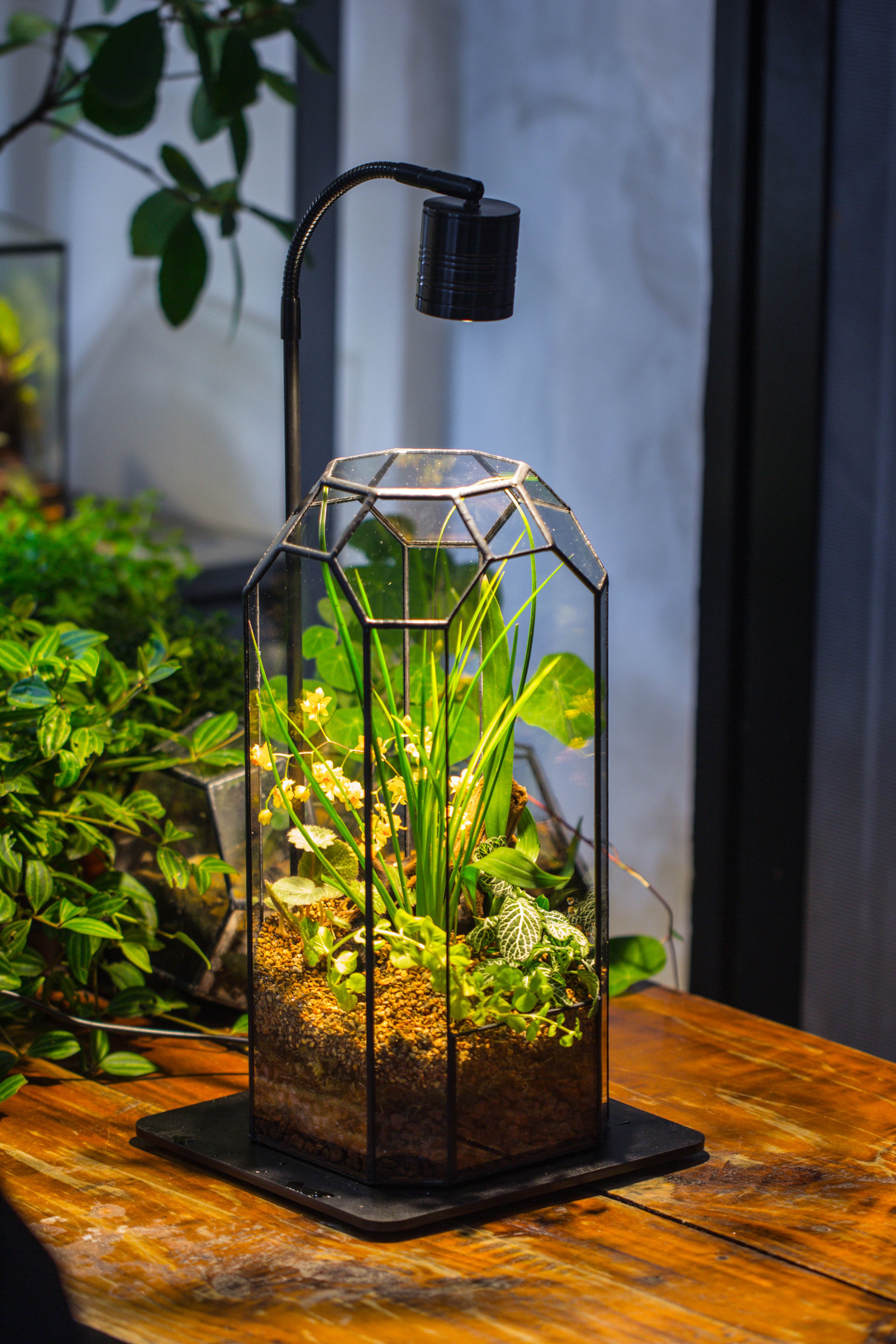 Customizable Warm White LED Grow Light with Matte Stand | NCYP Garden ...