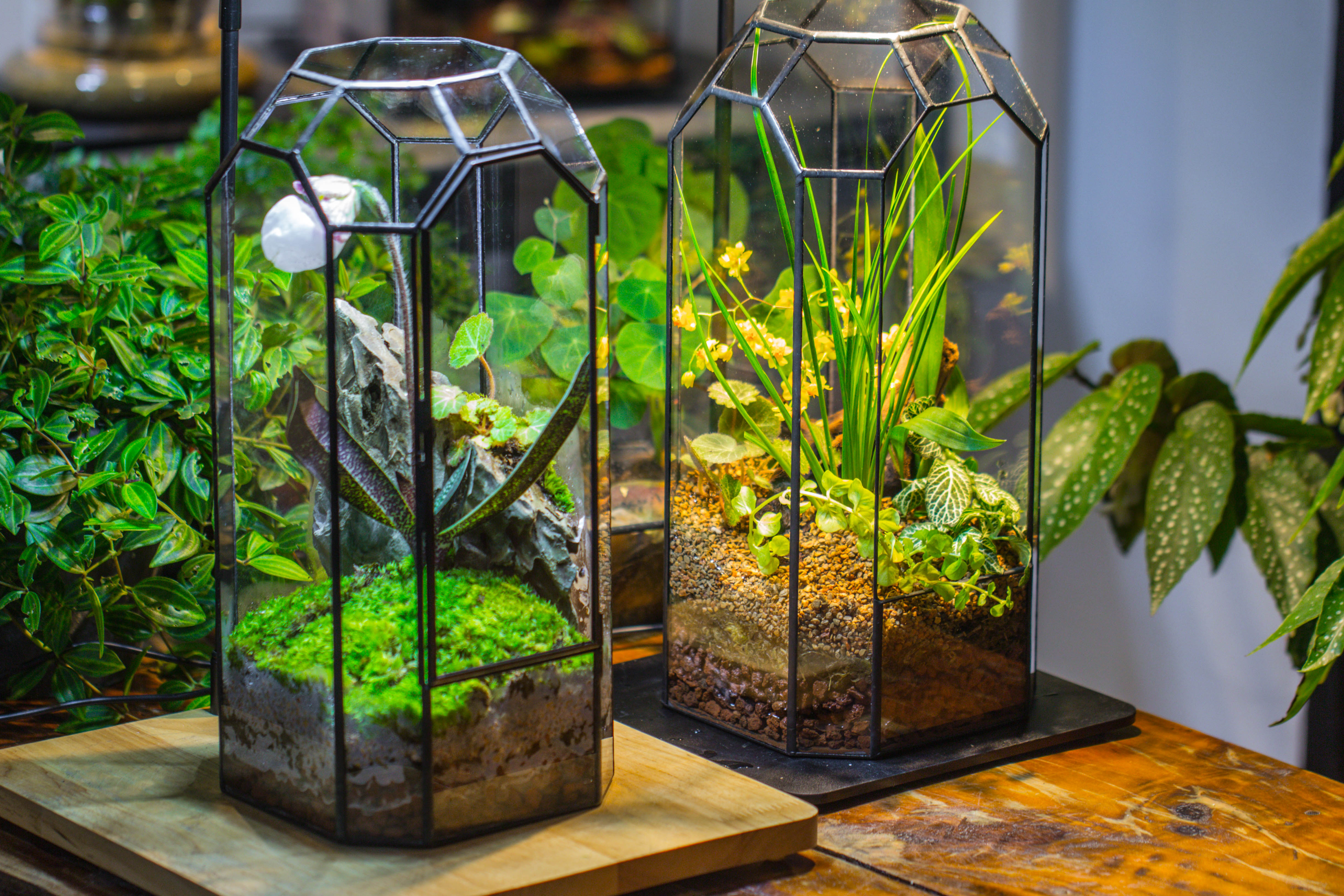 Vintage Tall Octagon Geometric Tin Glass Terrarium , 12.6" , close, su ...