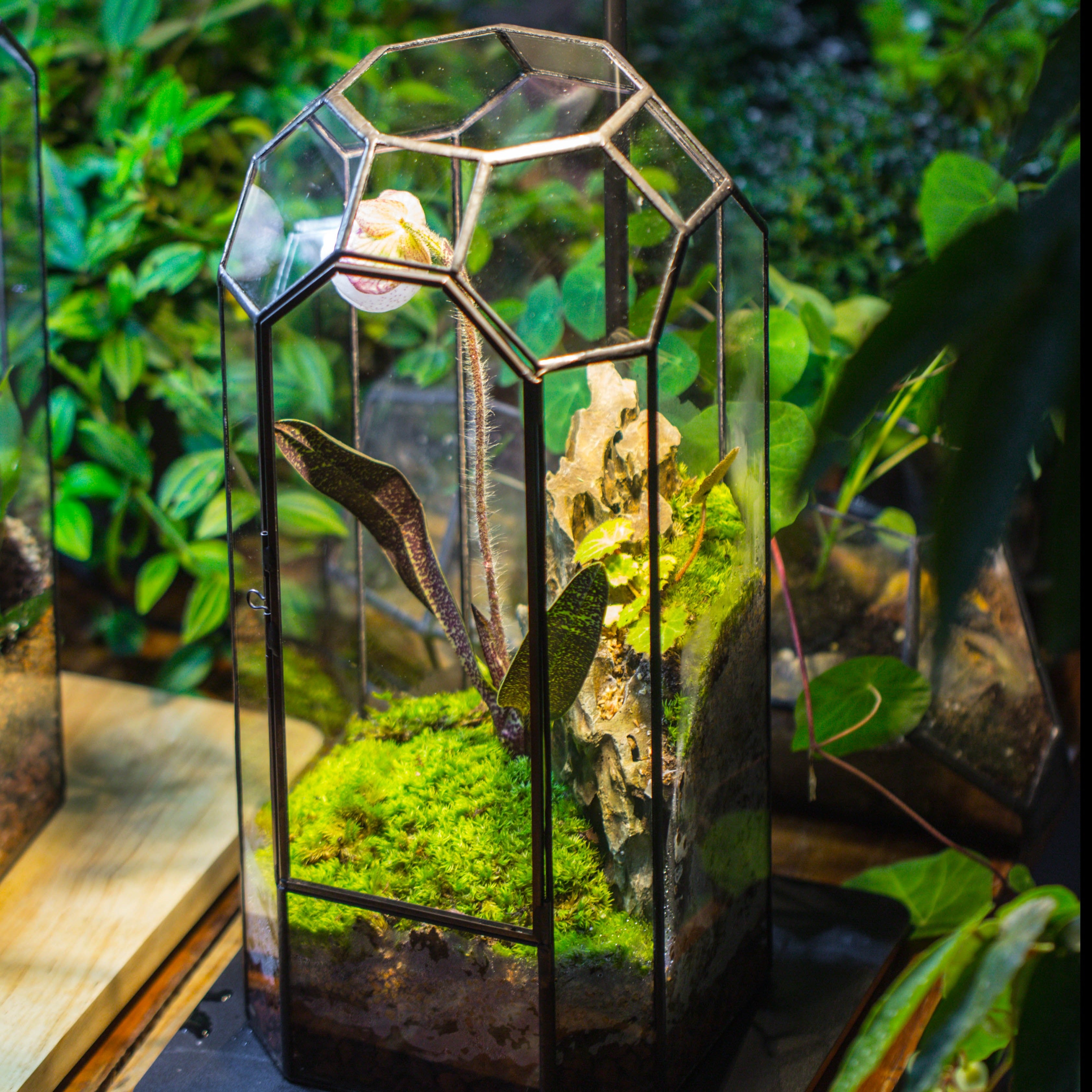 Vintage Tall Octagon Geometric Tin Glass Terrarium , 12.6" , close, su ...