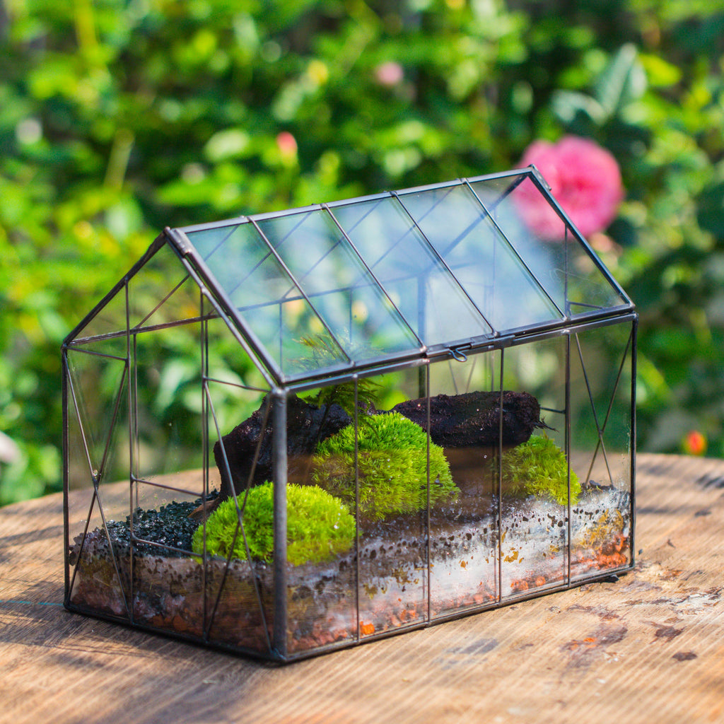 Geometric Terrariums — NCYPgarden