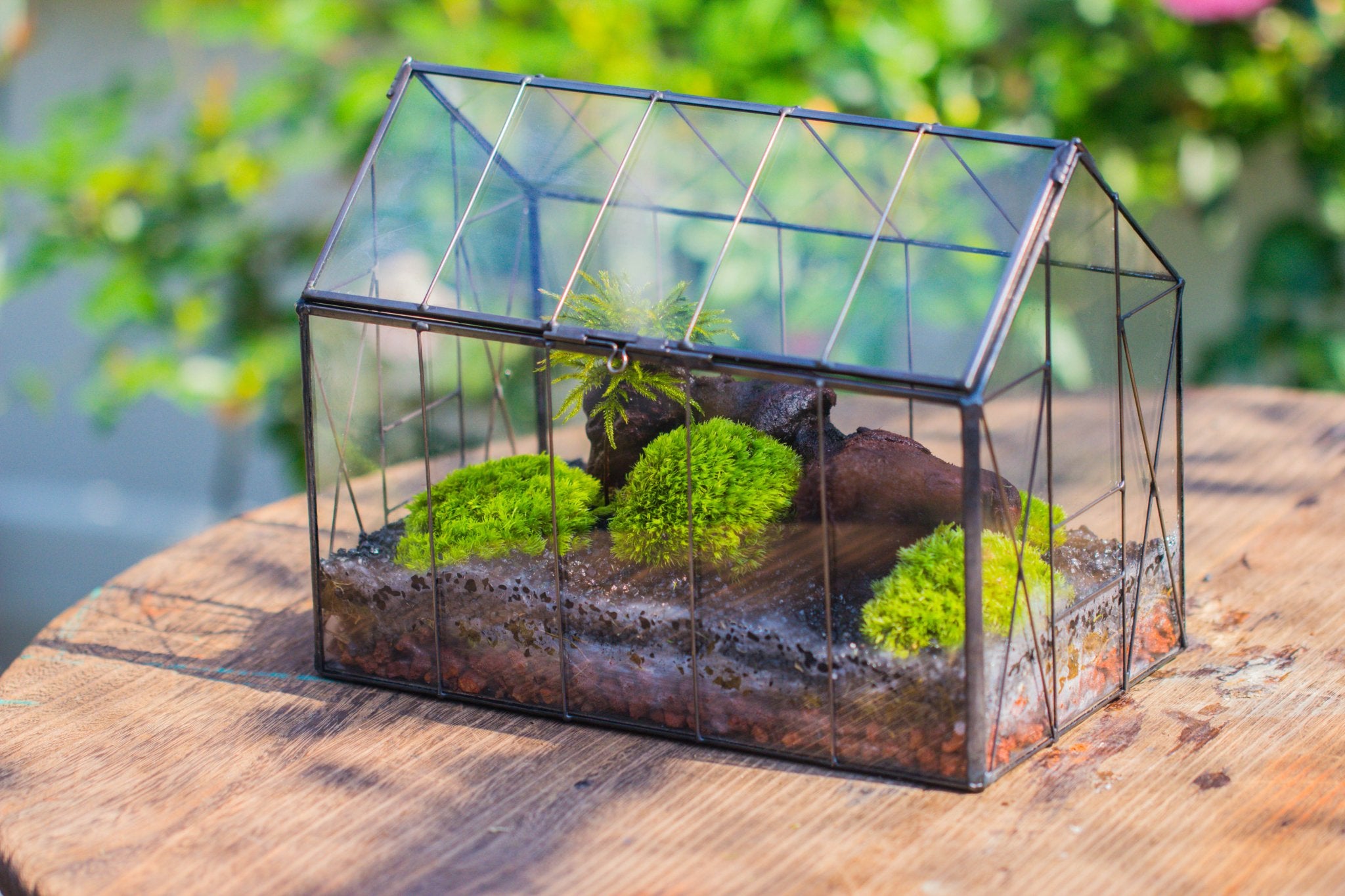 Vintge Greenhouse inspired tin and glass geometric Terarium, Close, fo ...