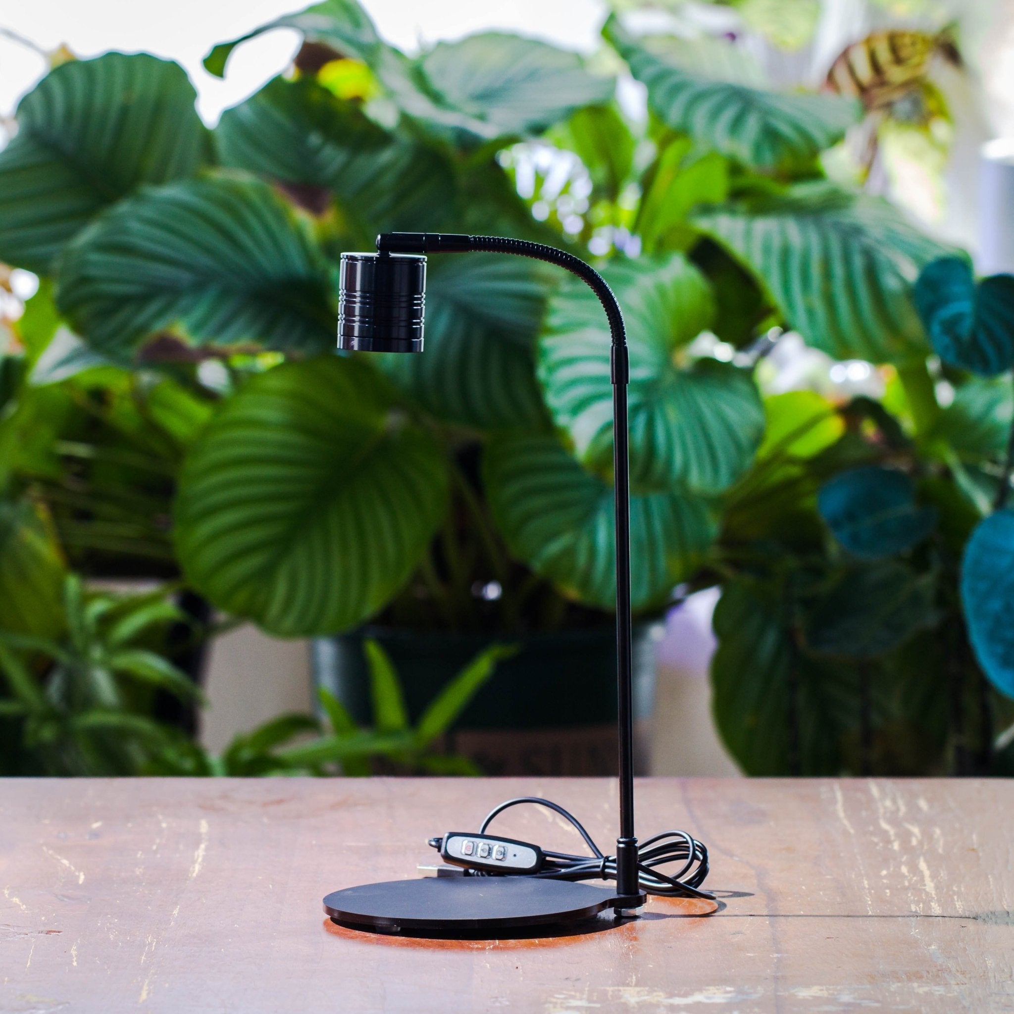 LED Grow Light Set for Terrarium — NCYPgarden