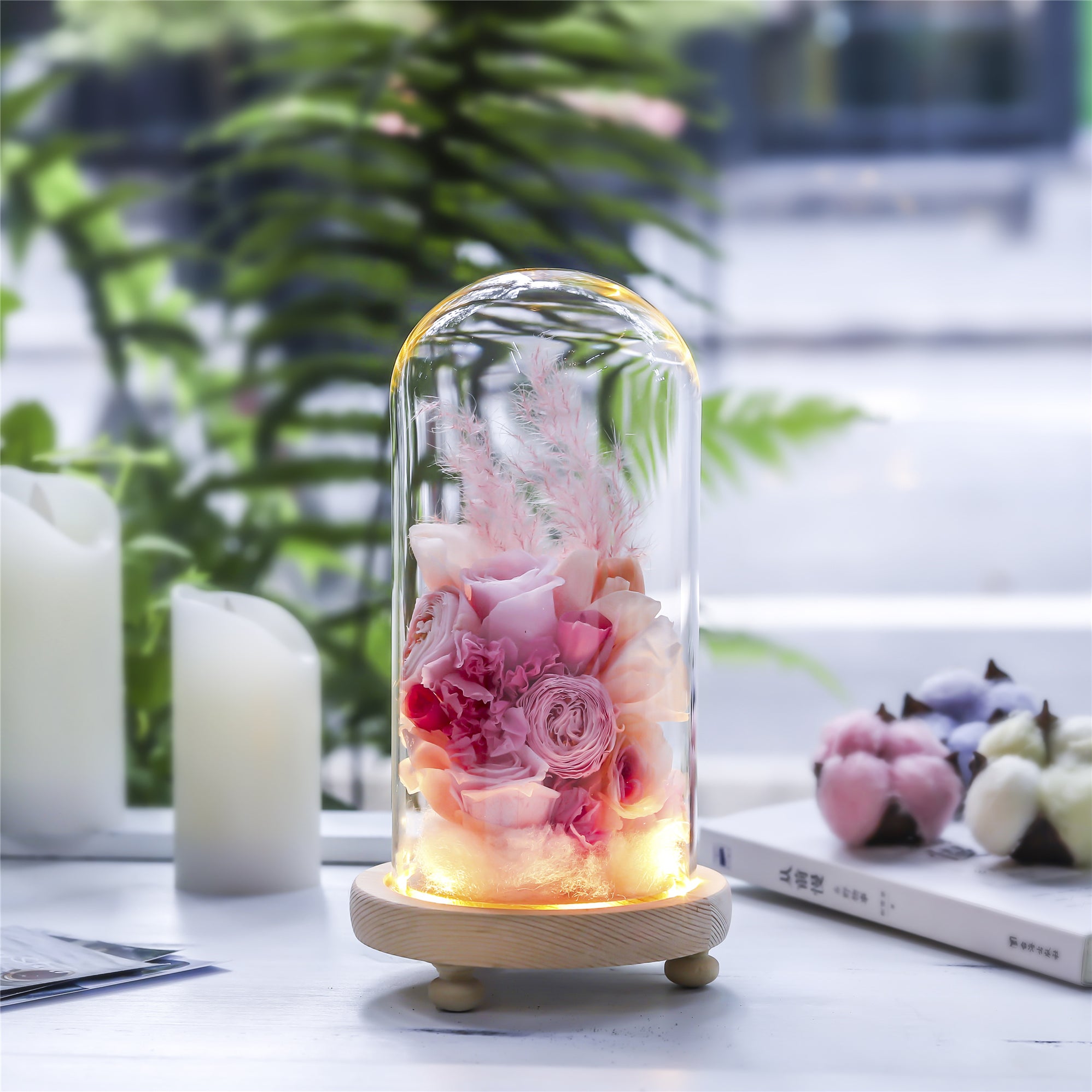 Glass Cloche — NCYPgarden