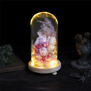 Glass Dome with LED Display Light — NCYPgarden