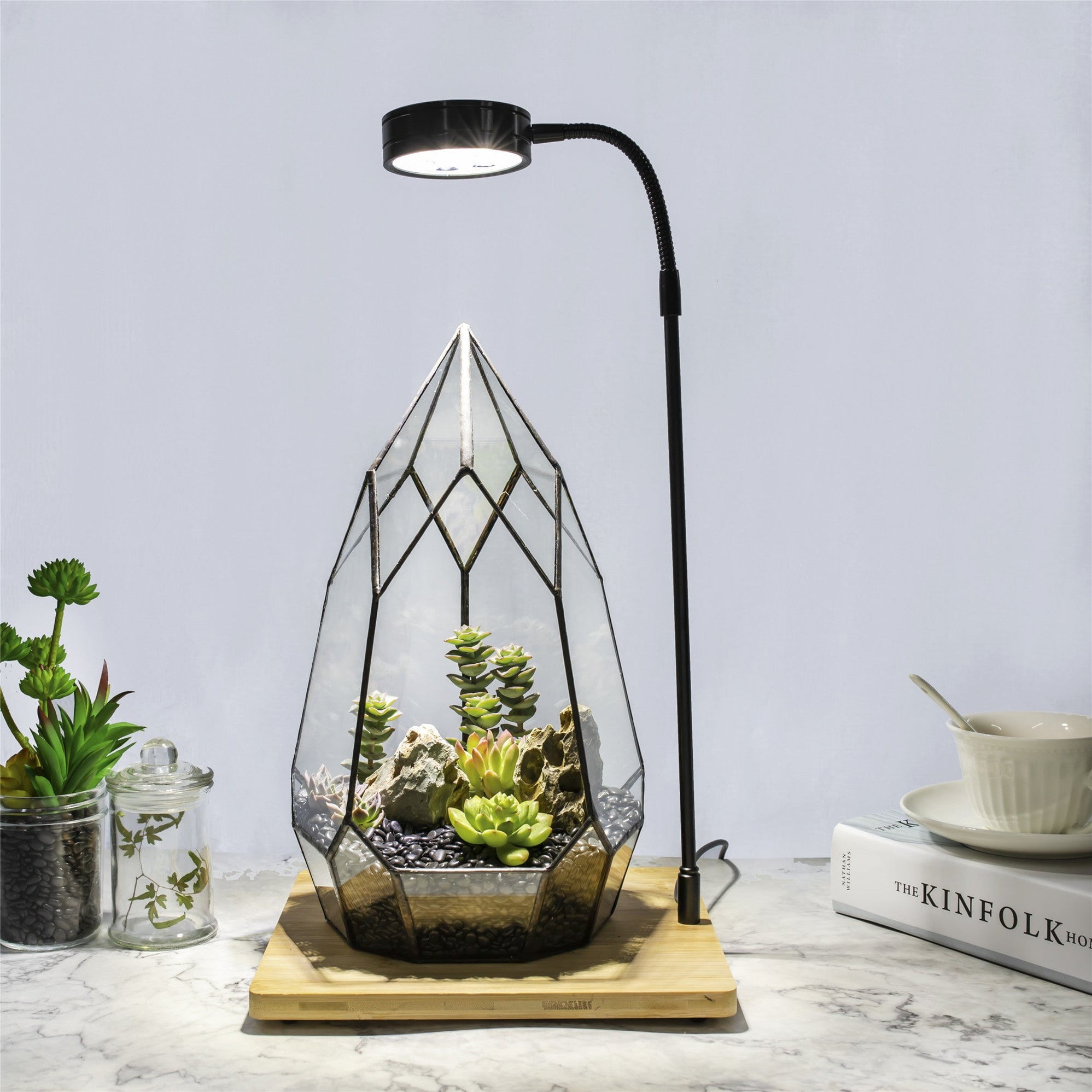 LED Grow Light Set for Terrarium — NCYPgarden