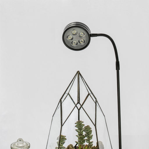 LED Grow Light Set for Terrarium | NCYPgarden