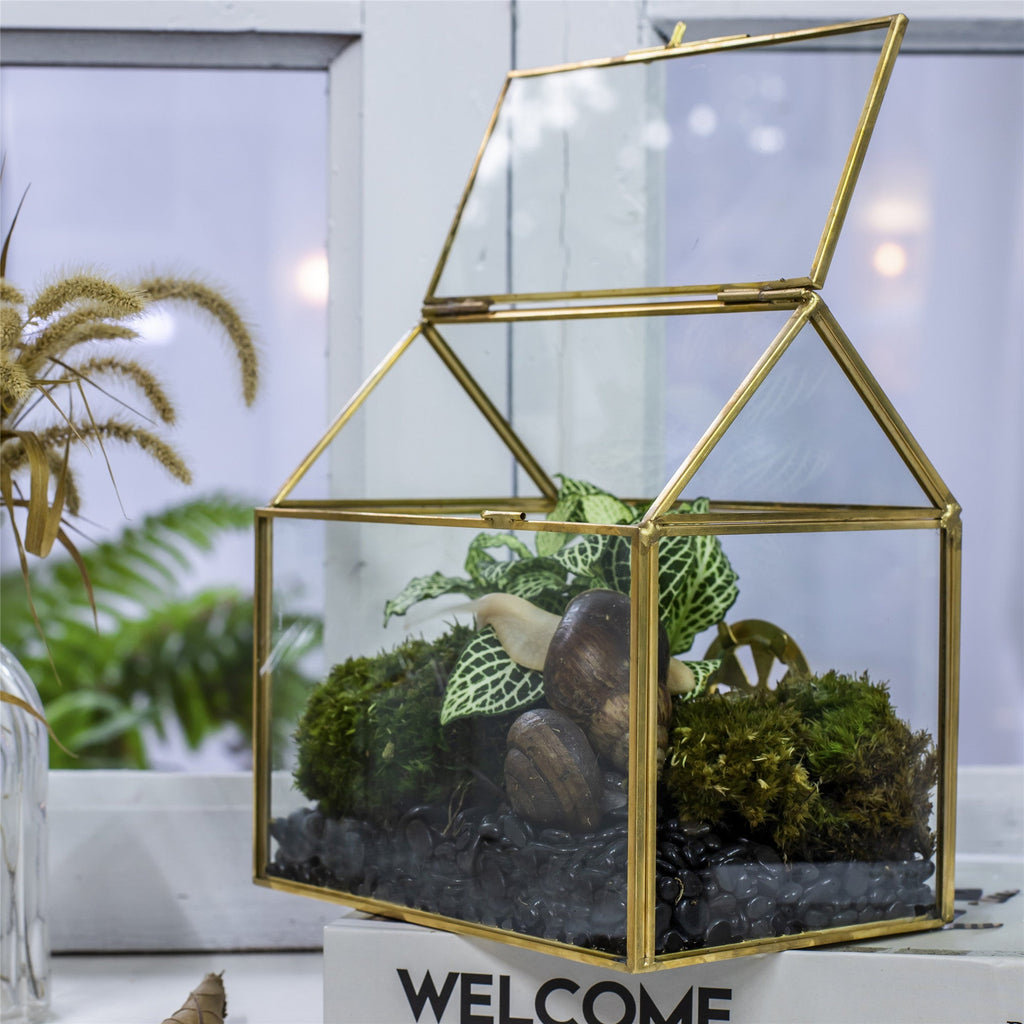 Geometric Terrariums — NCYPgarden