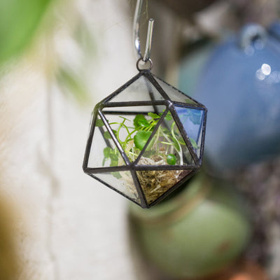 Triangular Mine Round Ball Glass Geometric Terrarium — NCYPgarden