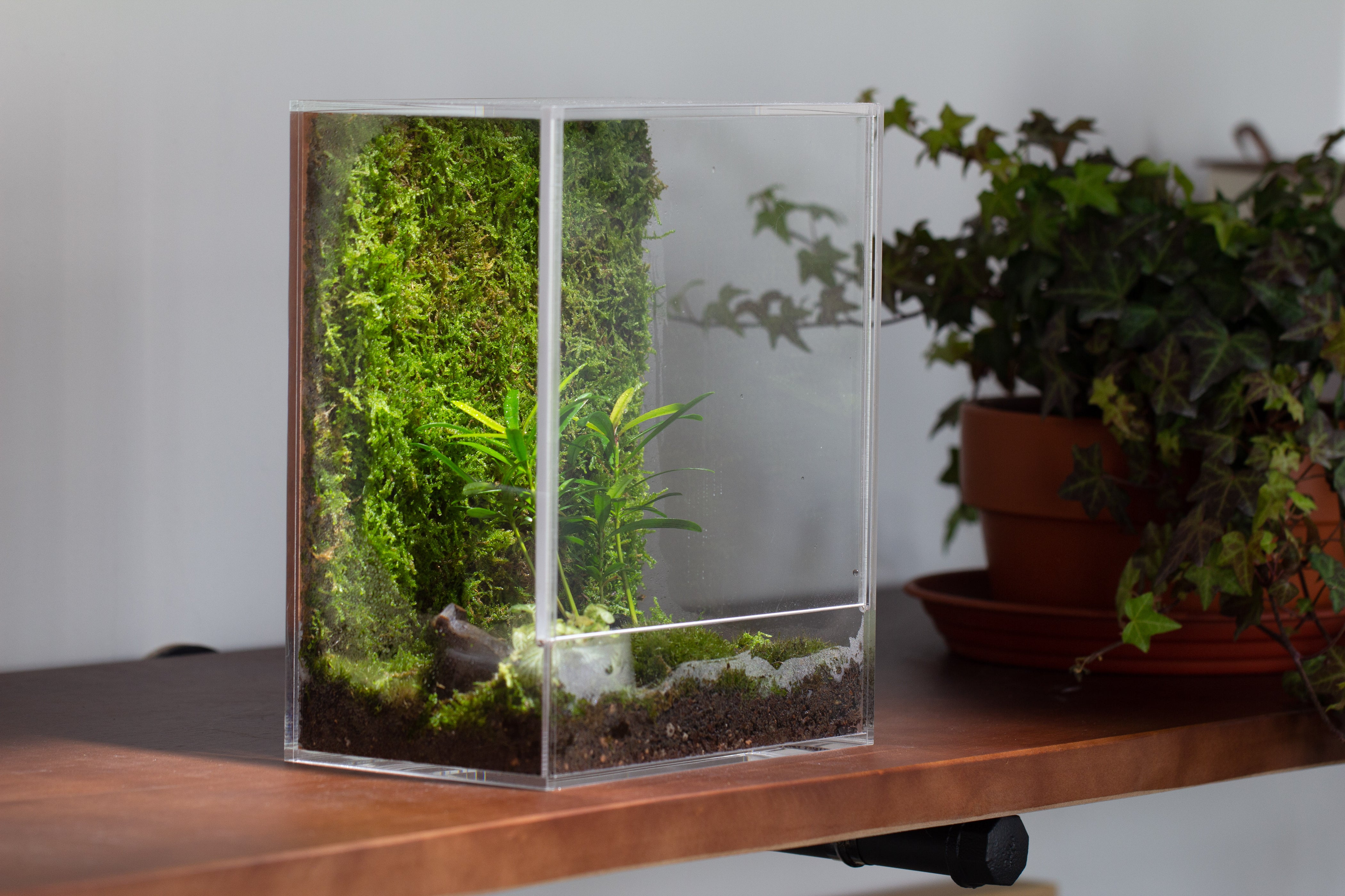 Handmade Water-Tight Sealed Enclosed Rectangle Acrylic Terrarium ...