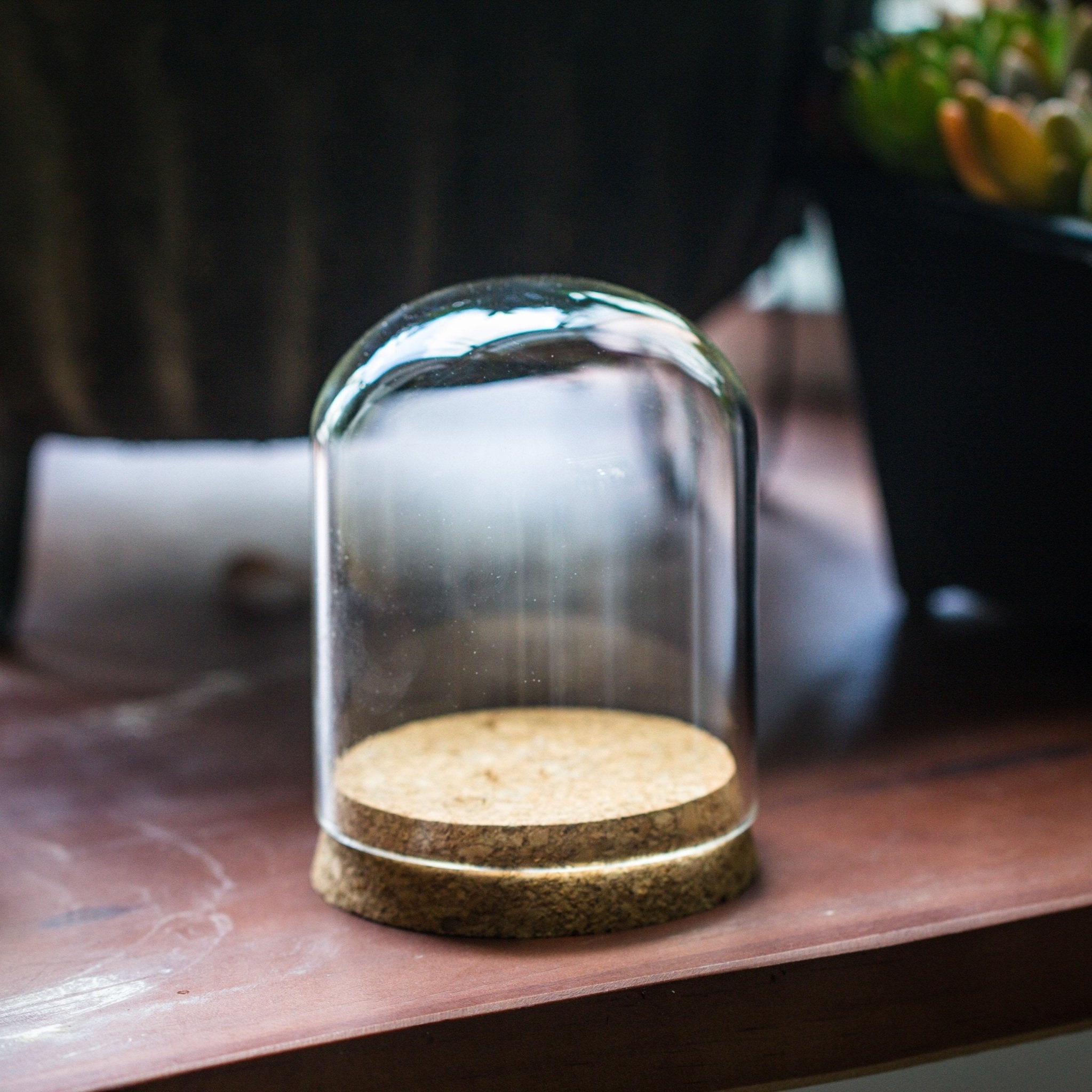 glass cloche dome with corkplug — NCYPgarden