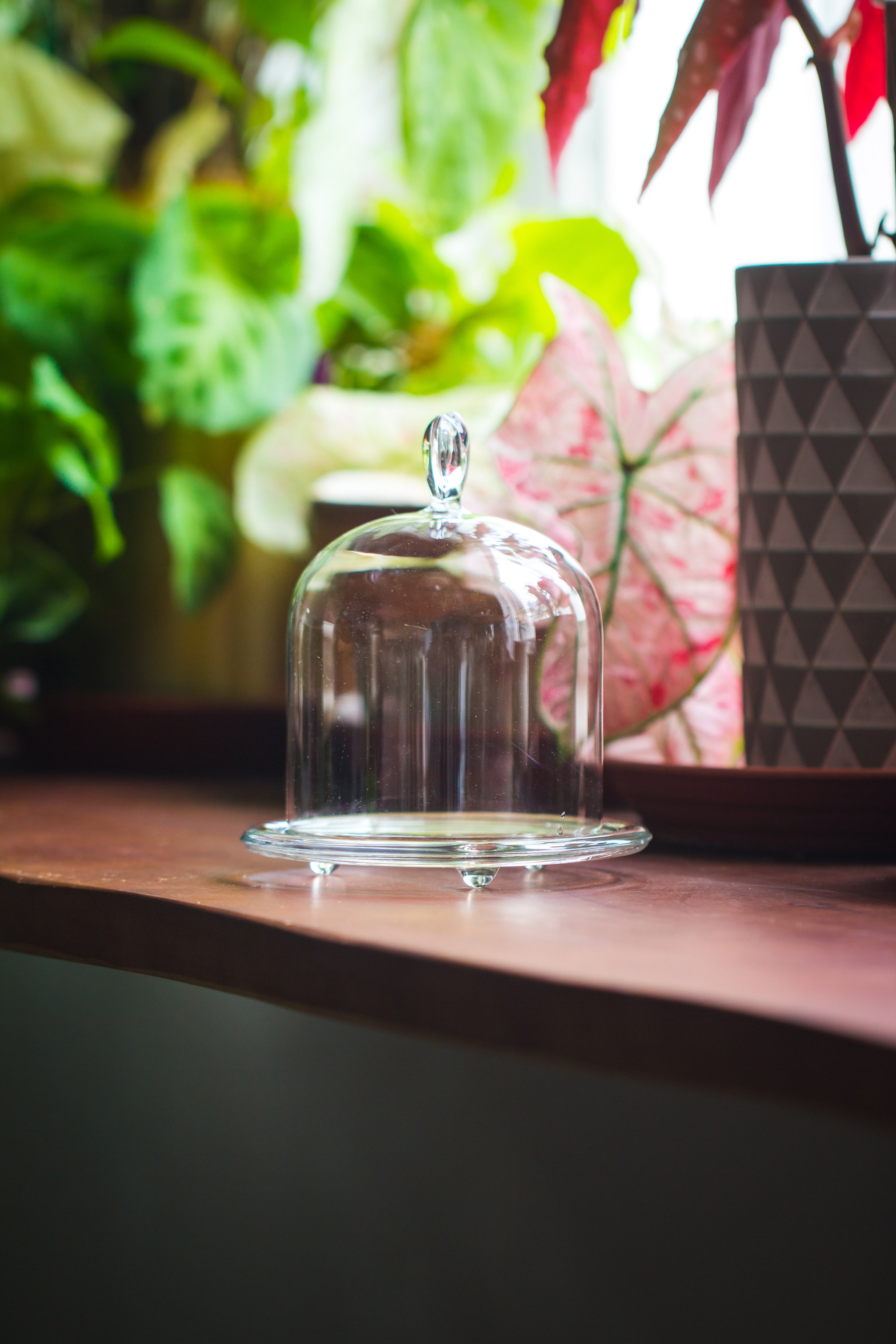 Heart Shape Tip Glass cloche with glass base and metal gold base set ...