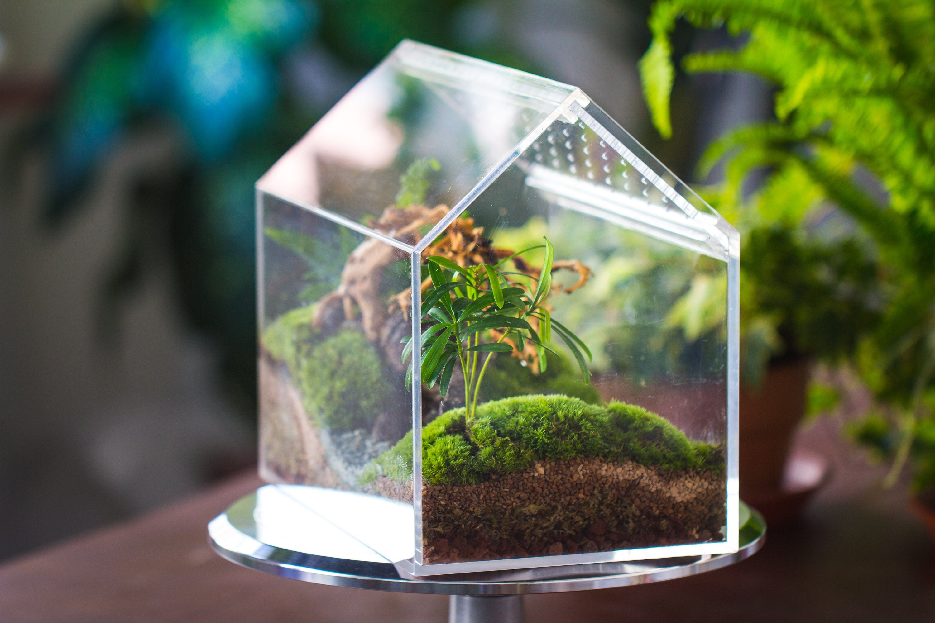 Handmade Water-Tight Sealed Enclosed House Acrylic Terrarium – NCYPgarden
