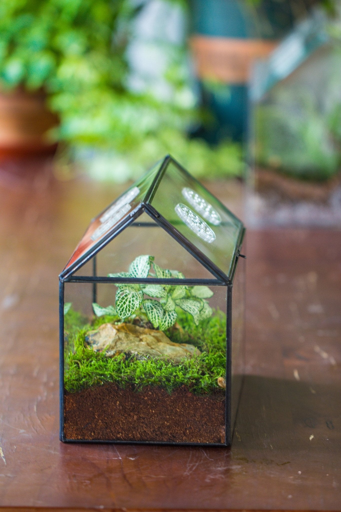 NCYP Handmade Geometric Glass Close Terrarium Box House Shape, Swing ...