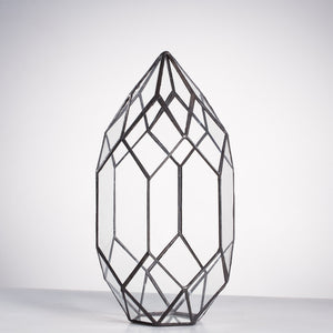 Large Irregular Polyhedral Geometric Terrarium 11" — NCYPgarden
