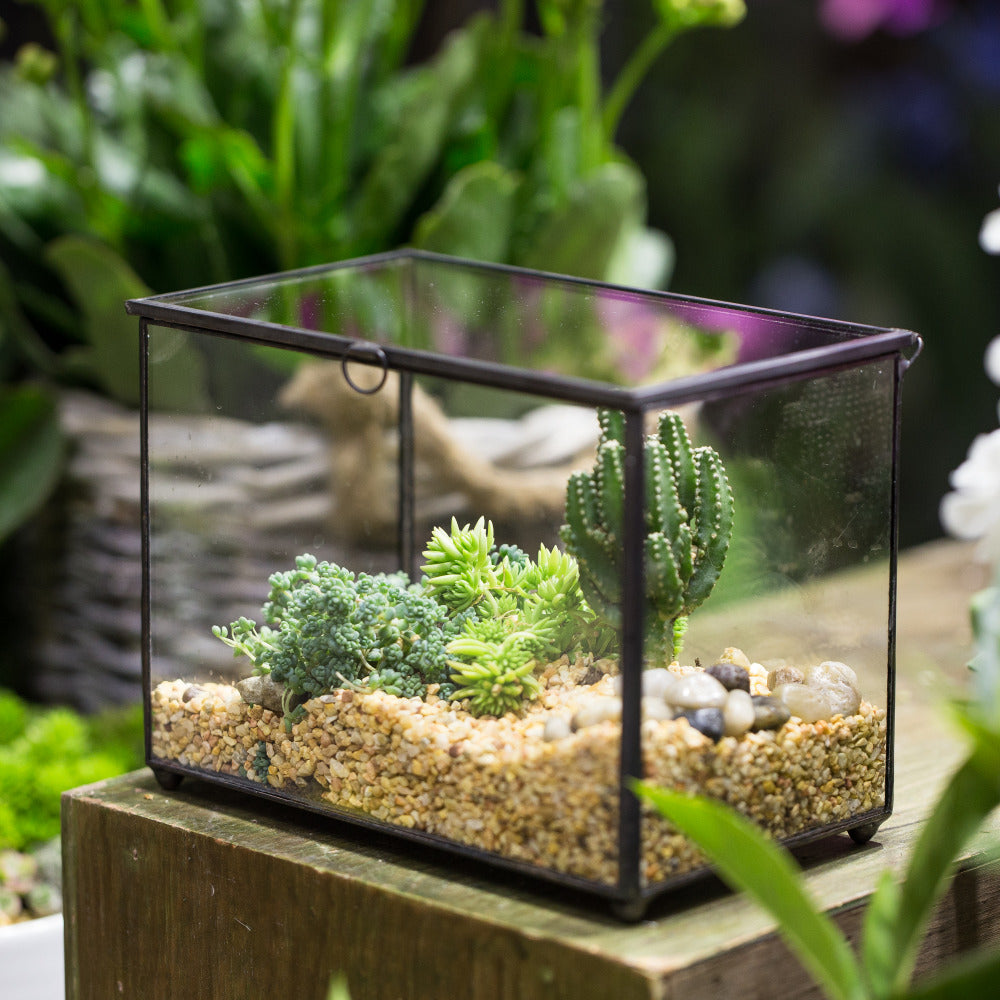 Handmade Rectangle Clear Glass Geometric Terrarium Box with Lid for ...