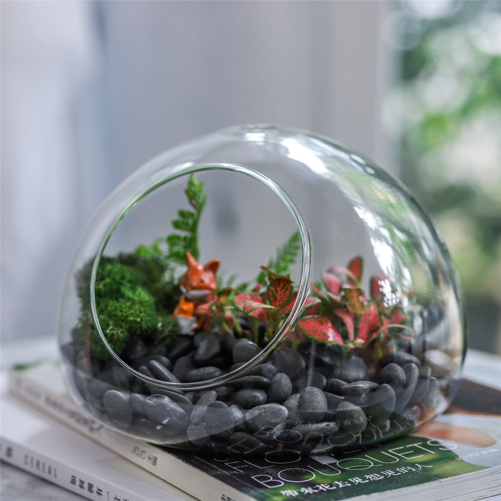 Glass Cloche | NCYPgarden